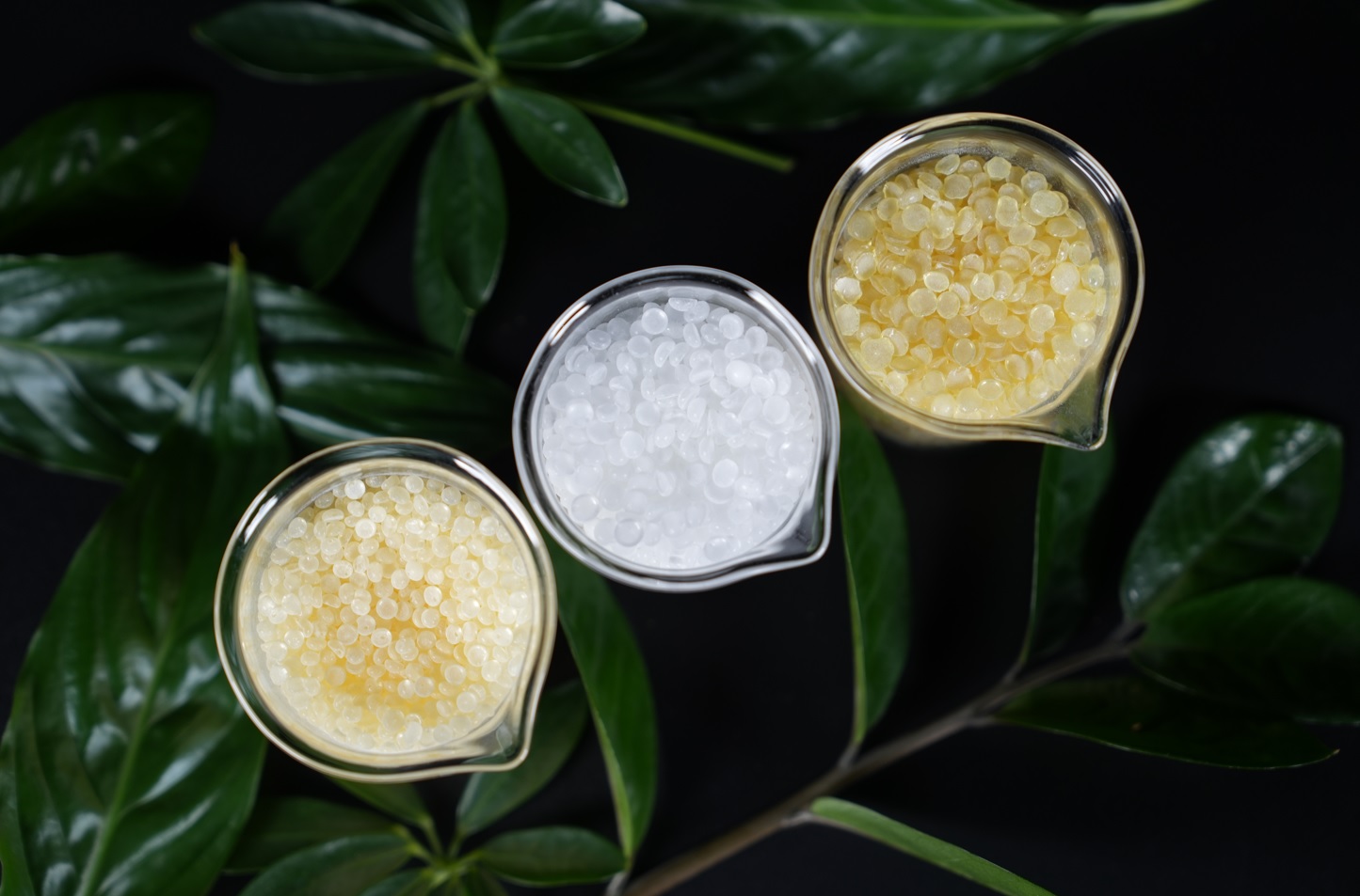 新闻中心 | KOLON GROUP